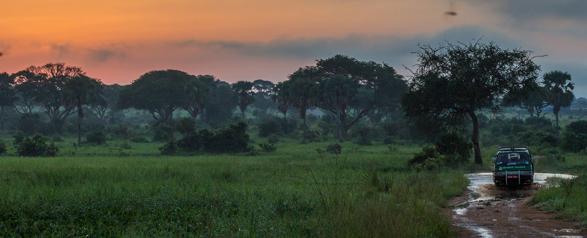 UCF – Uganda Conservation Foundation – Just another WordPress site