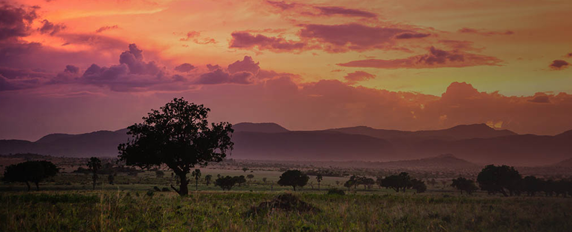 UCF – Uganda Conservation Foundation – Just another WordPress site